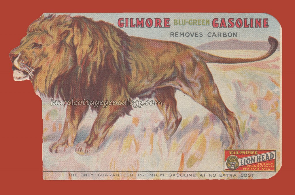Gilmore the lion cub | Laurel Cottage Genealogy