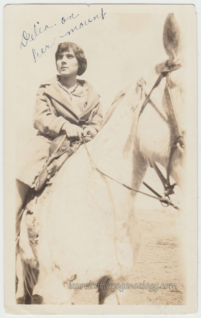 Horses | Laurel Cottage Genealogy