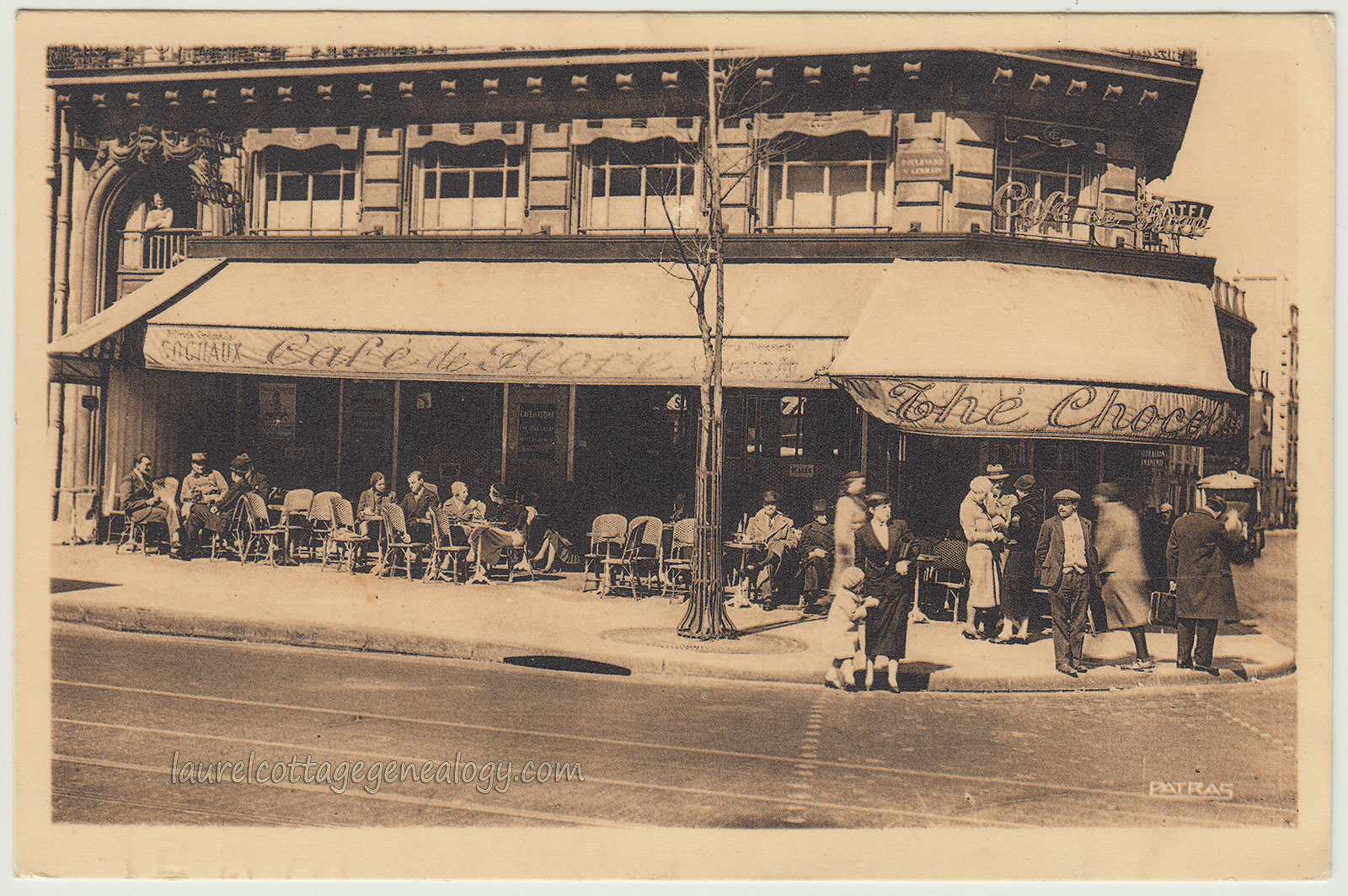 old postcards of Café de Flore Paris | Laurel Cottage Genealogy