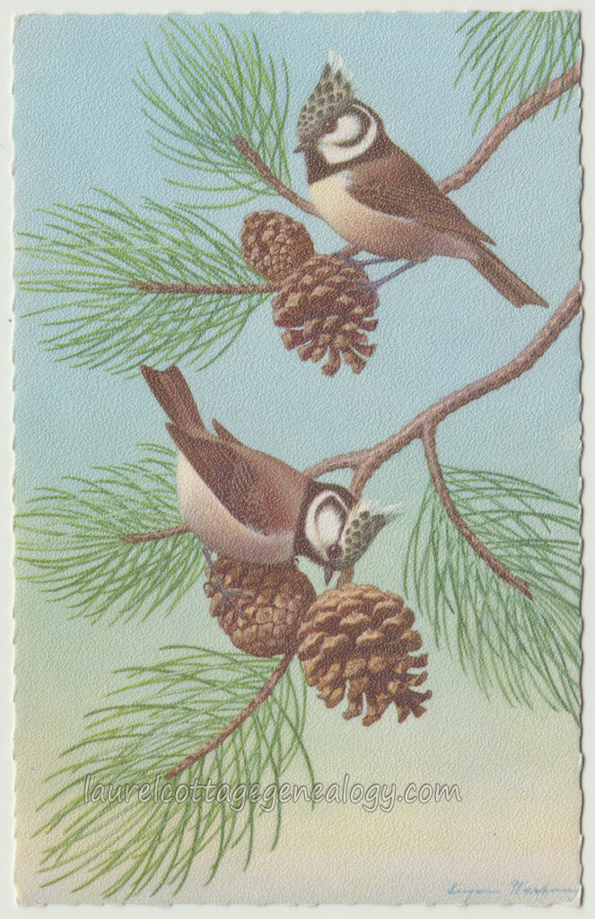 Postcards Artist Signed | Laurel Cottage Genealogy